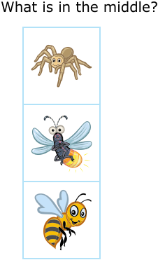 IXL - Top, middle and bottom (Class I maths practice)