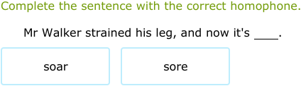 IXL - Use the correct homophone (Class IV English practice)