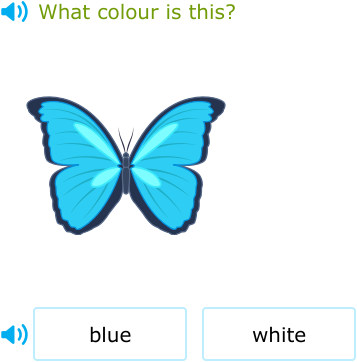 IXL - Use colour words (Lower kindergarten English practice)